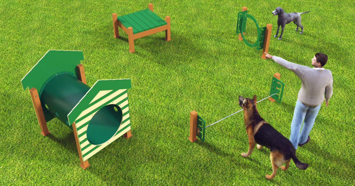 Recycled Novice Dog Park Course | BarkPark