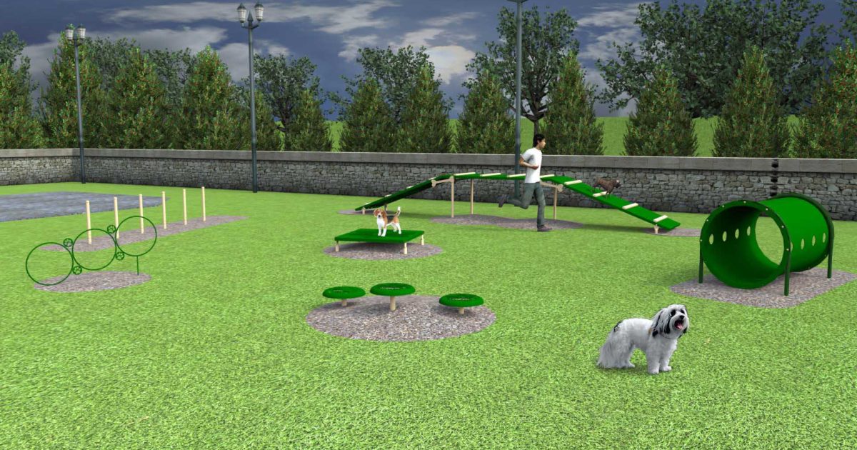 Advanced Dog Park Course for Small Dogs | BarkPark